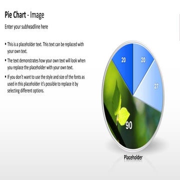 Powerpoint Template Pie Charts | PPT