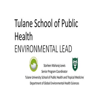 Environmental Lead | PPTX