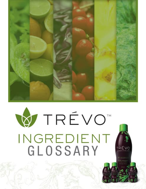 Plant-Based_Multi_Powder_Presentation_Final.pptx