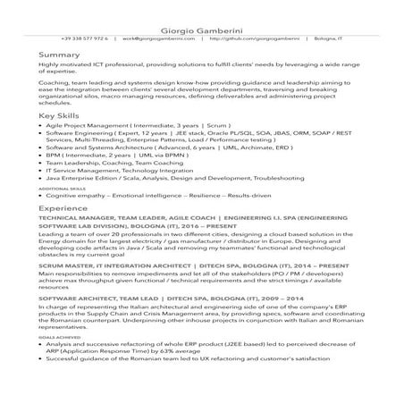 Dale RESUME_2008_Summary_v2 | DOC