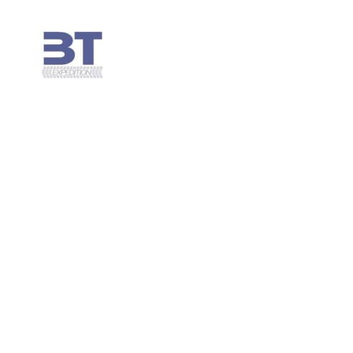 BTE logo | DOCX