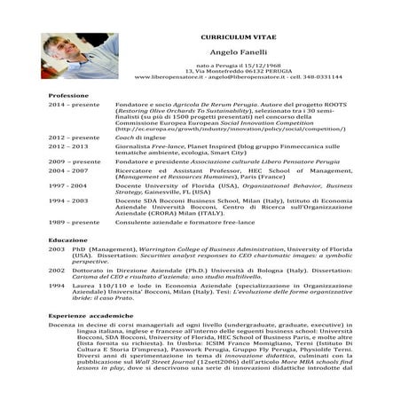 CV-short-Angelo Fanelli_2015 | PDF