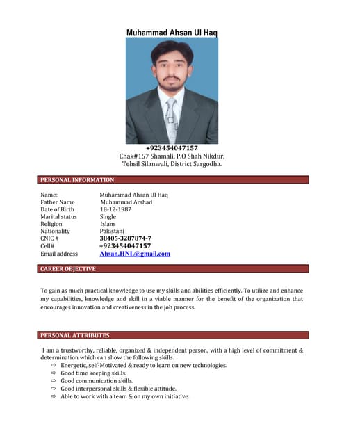 Napoleon i-obraz-zycia | PDF