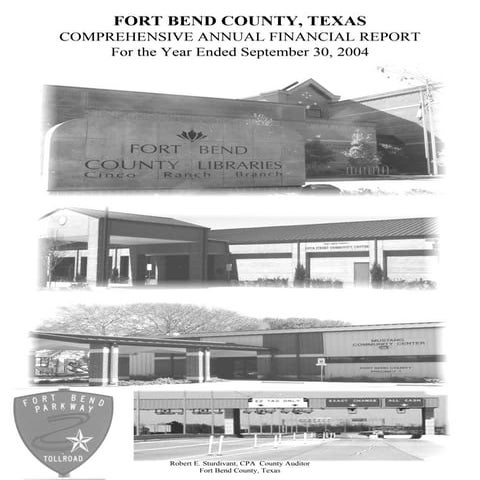 Fbcad financial report | PDF