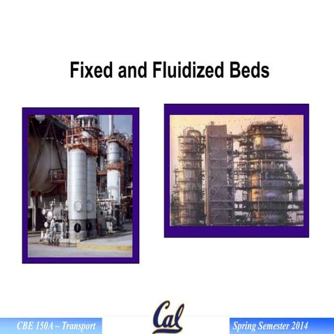 Fixed and Fluidized Bed for Good Manufacturing | PPT