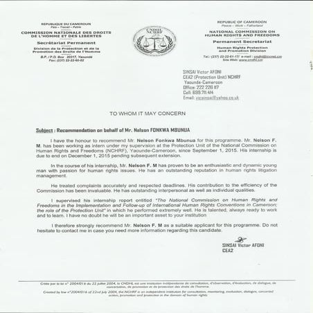 National Commission on Human Rights and Freedoms | PDF