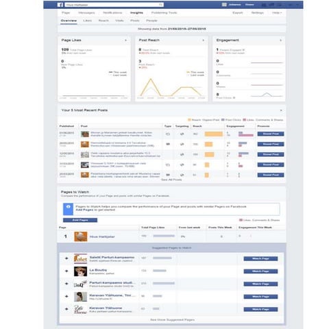 Fb insights example | PPTX