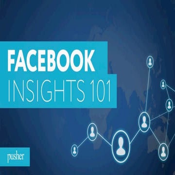 Facebook Insights 101 | PDF