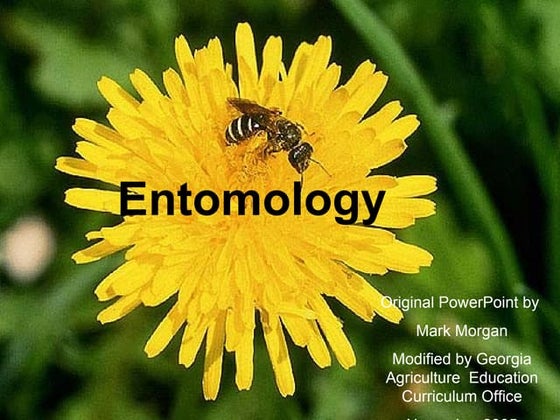Introduction to Entomology | PPT