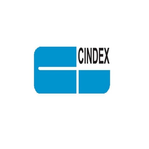 Cindex for Texas Presentation | PPTX