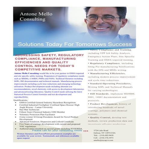 Antone Mello Consulting Flyer | DOC