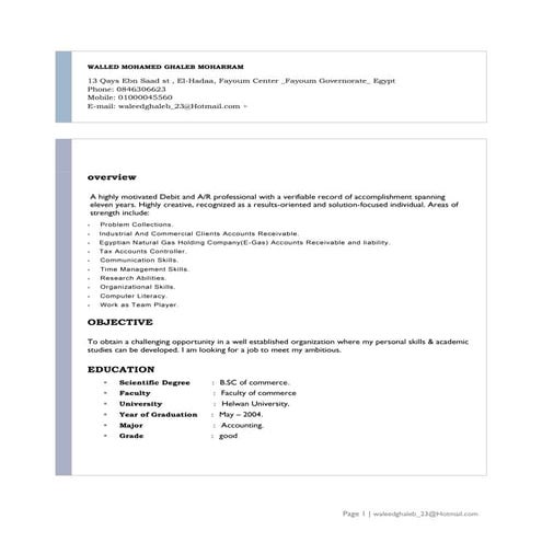 Waleed Ghaleb C.V | DOC | Business Accounting & Finance | Business