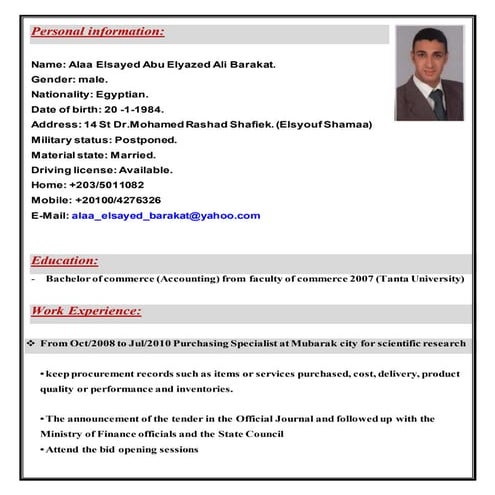 Alaa elsayed CV | DOCX