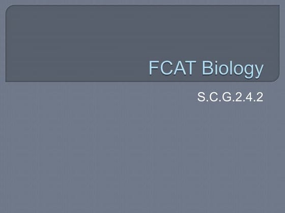 Analysis On Human Population & Consumption on Environment | PDF