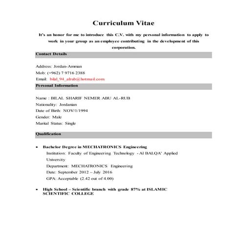 BILAL cv | DOCX