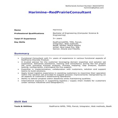 Harimine_RedPrairie_Consultant | PDF