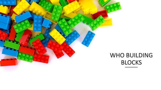 Lect 1.b THE BUILDING BLOCKS OF A HEALTH SYSTEM - notes pp.pptx