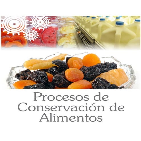 PROCESOS DE CONSERVACIÓN DE ALIMENTOS | PDF