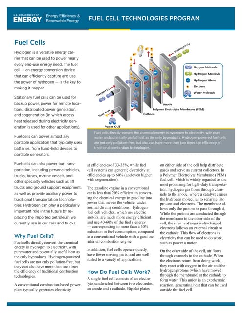 FUEL CELLS in detail with their working and principle | PPT