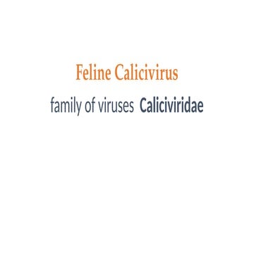 FCV.pptx feline calcic virus around 224 | PPTX