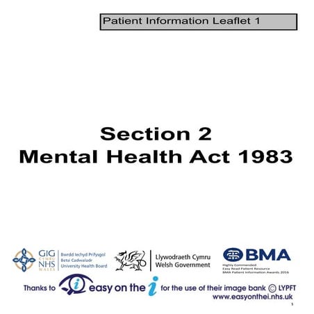 MHA Section 2 - Leaflet 1 | PDF | Mental Health | Diseases and Conditions