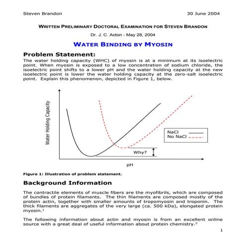 WATER BINDING BY MYOSIN | PDF