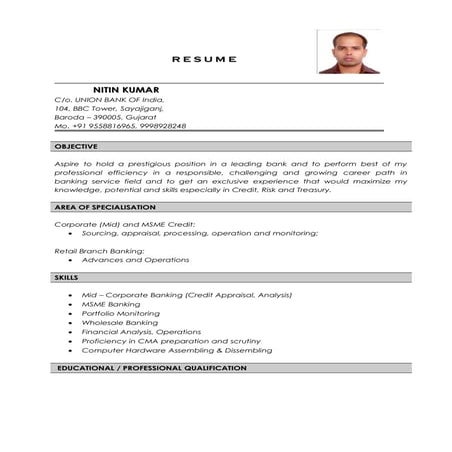 Nitin Kumar Resume Credit Analyst | DOC