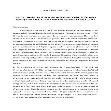 JLesiak_PhD_summary | PDF