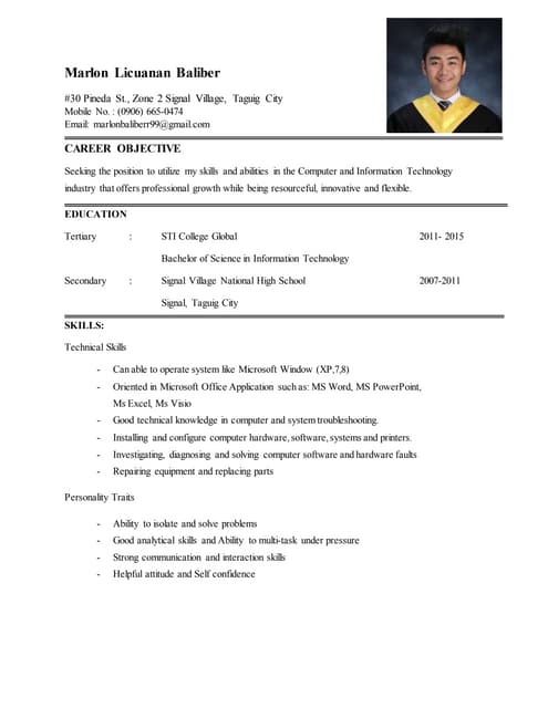 Curriculum Vitae_Theo | PDF