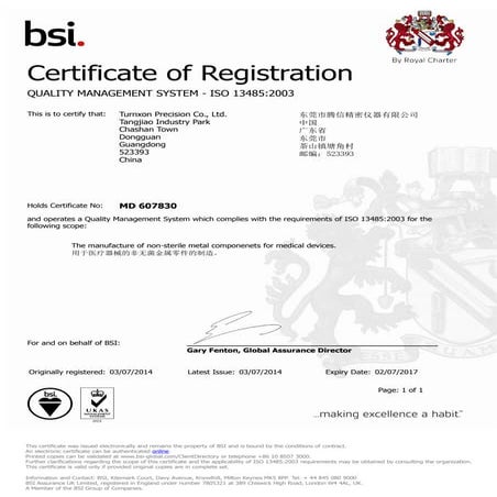 ISO13485 Certificate | PDF