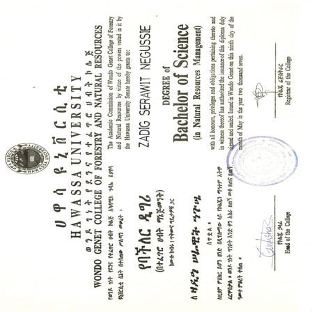 Hilcoe certificate | PDF