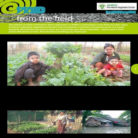 FEEDBACK from the field (issue 29) | PDF | Agriculture | Industries