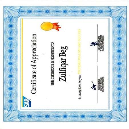 SAP Labs Award | PDF