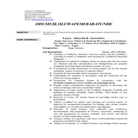 FEMI ODUMUSI NEW CV | PDF