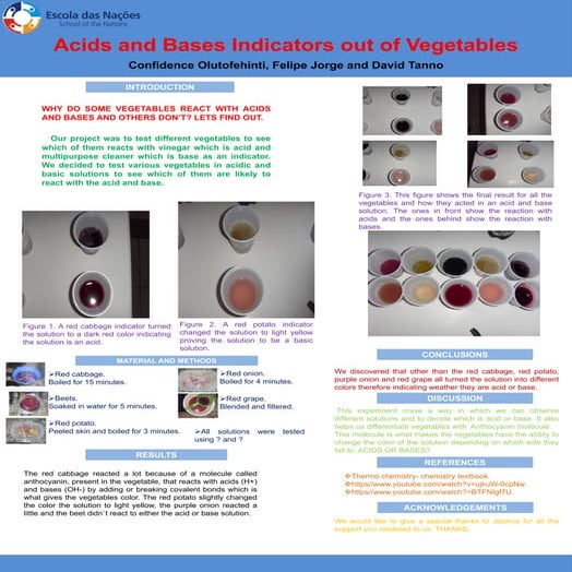 Science Fair Poster - Acids and Bases Indicators out of vegetables | PPTX