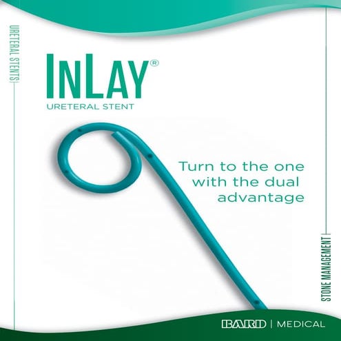 Bard_inlay_stent_brochure(1) | PDF