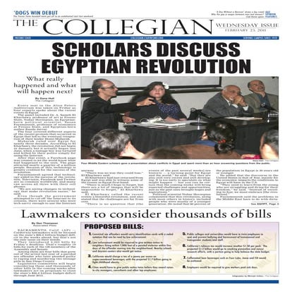 The Pink Ghetto | PDF