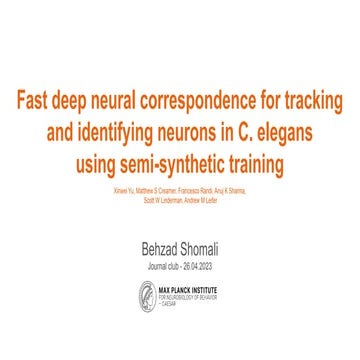 Fast deep neural correspondence for tracking and identifying neurons in C. elegans using semi ...