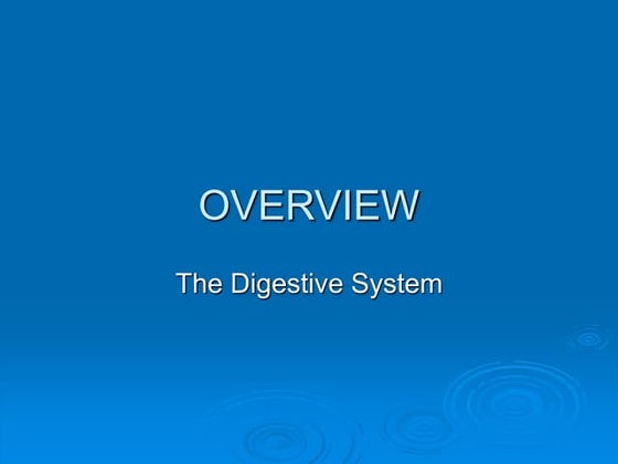 Digestive system Lesson for Grade 6 students.pdf | Digestive Disorders ...