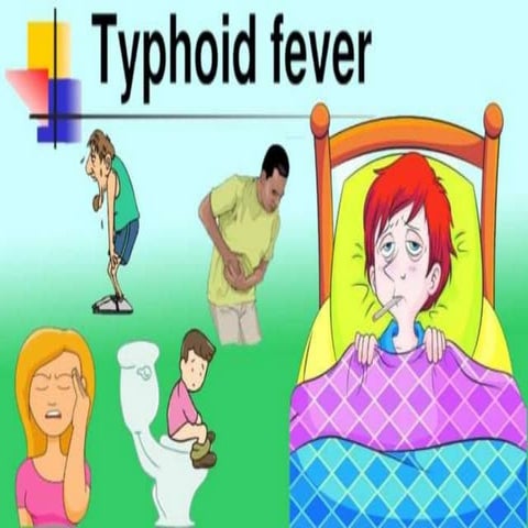 Typhoid fever | PPTX