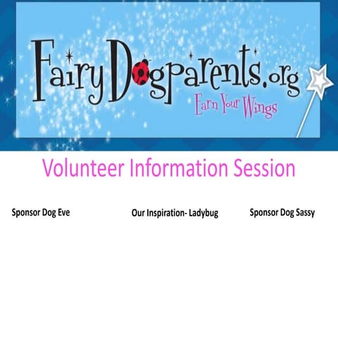 Volunteering Presentation | PPT