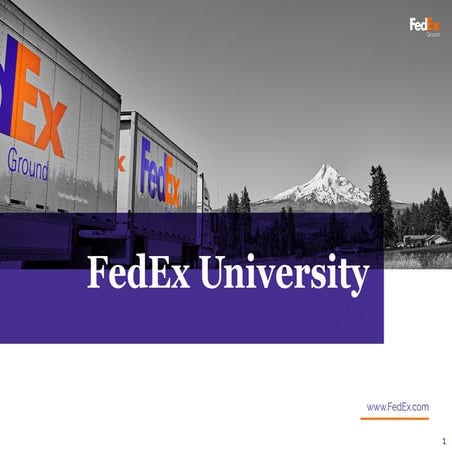 My FedEx Corporate Brochure | PDF