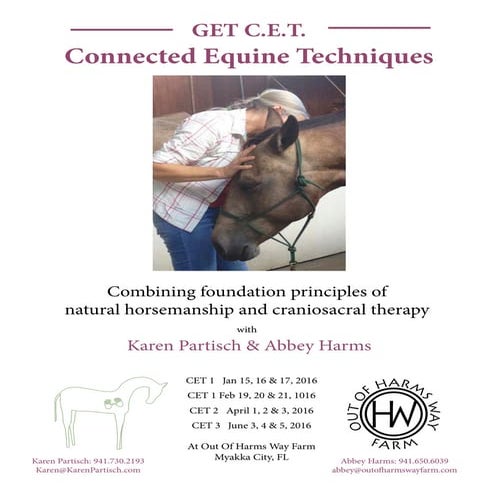 CET flyer 2016 | PDF