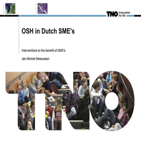 OSH in Dutch SME's | PPT