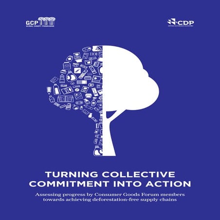 gcp_and_cdp_2016_turning_collective_commitment_into_action | PDF | Agriculture | Industries