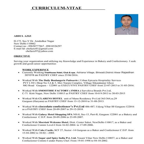CURRICULUM-VITAE | DOC
