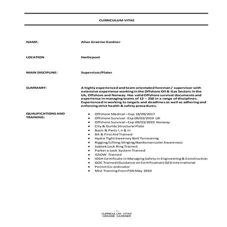 CV Ole Dolven | PDF