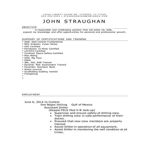 Debasis resume | DOC