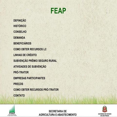 Institucional FEAP | PPT