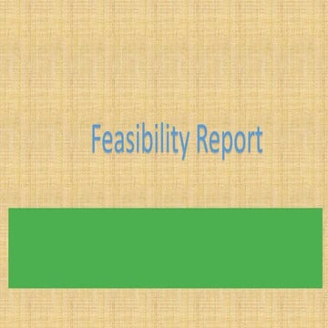 feasibilityreport-131027121529-phpapp01 (1).pdf